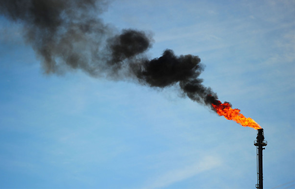 Smokeless Flare Monitor (FM) - Williamson IR